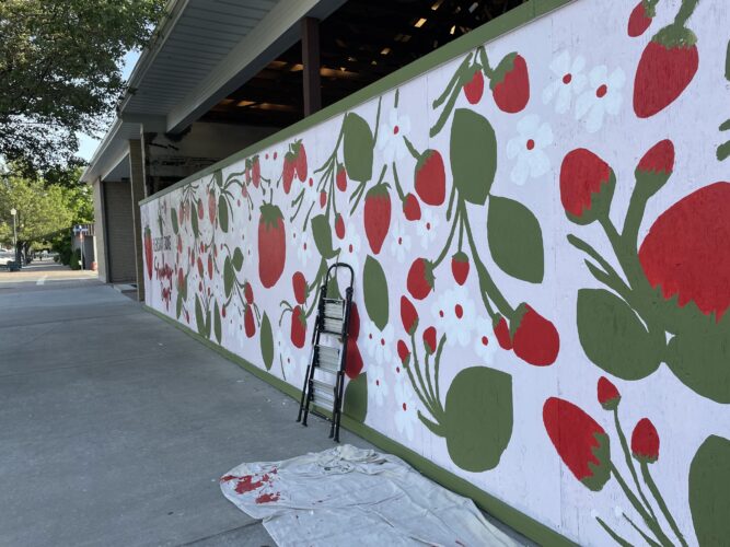 Local News | News, Sports, Jobs - Daily Herald